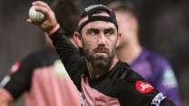 Glenn Maxwell Latest News, Photos and Videos - India TV News