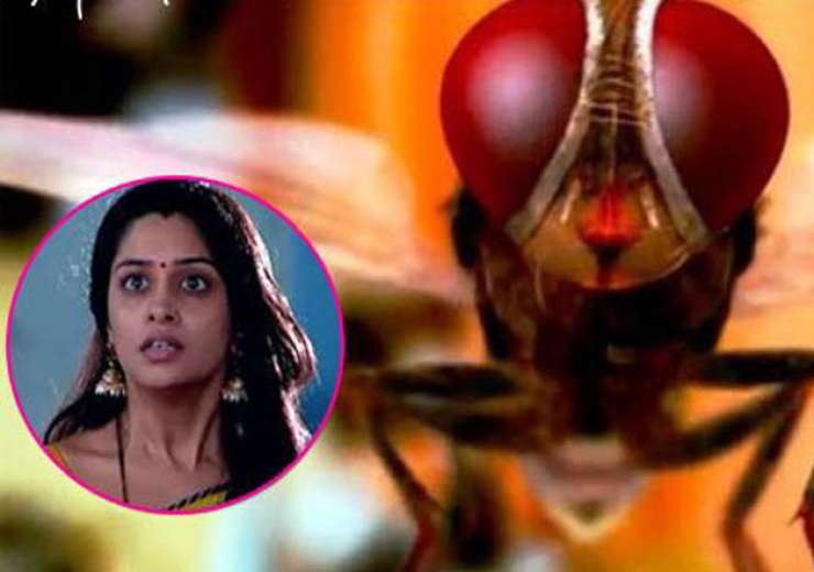 Simar from ‘Sasural Simar Ka' speaks on turning into a fly and getting ...