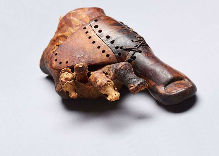 Prosthetic wooden toe created 3,000 years ago by Egyptian artisan