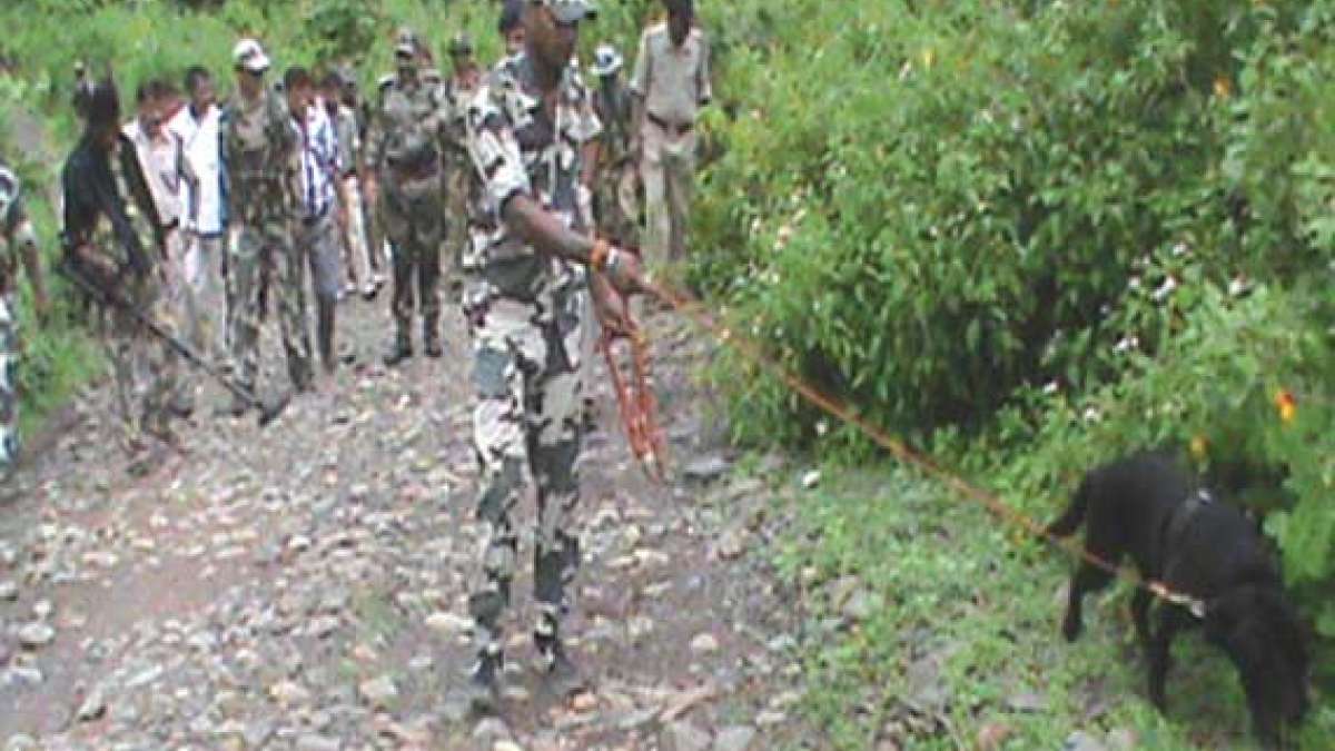 12 IEDs recovered following search operation – India TV