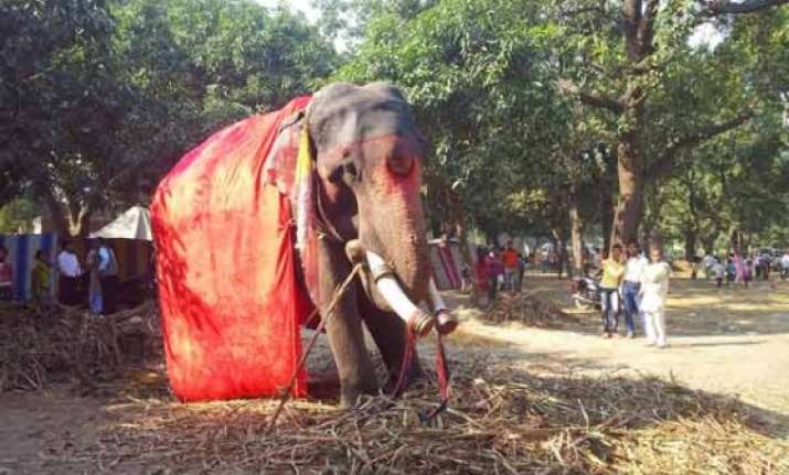 Sonepur Mela: The biggest Cattle Fair of Asia | India News – India TV