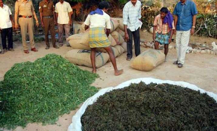 2.3 tonnes of 'Ganja' seized along Bangla border | India News – India TV