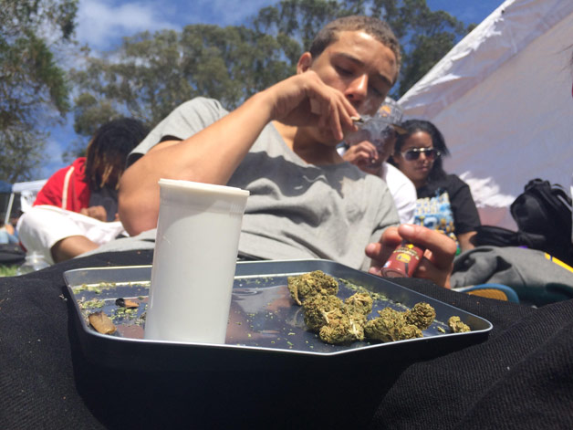 Stoner Alert: How United States went in to trance on Marijuana day