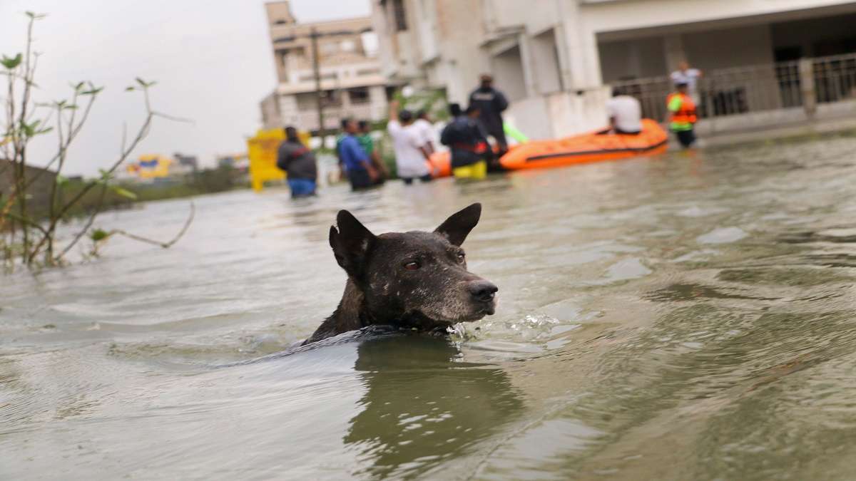 Yearender: Natural disasters that 'shook' and 'stuck' India in 2021 ...