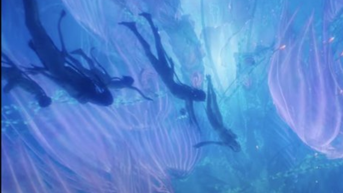 Avatar The Way of Water: Inside James Cameron's underwater world with ...