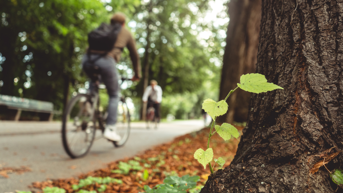 5 reasons why you should cycle daily