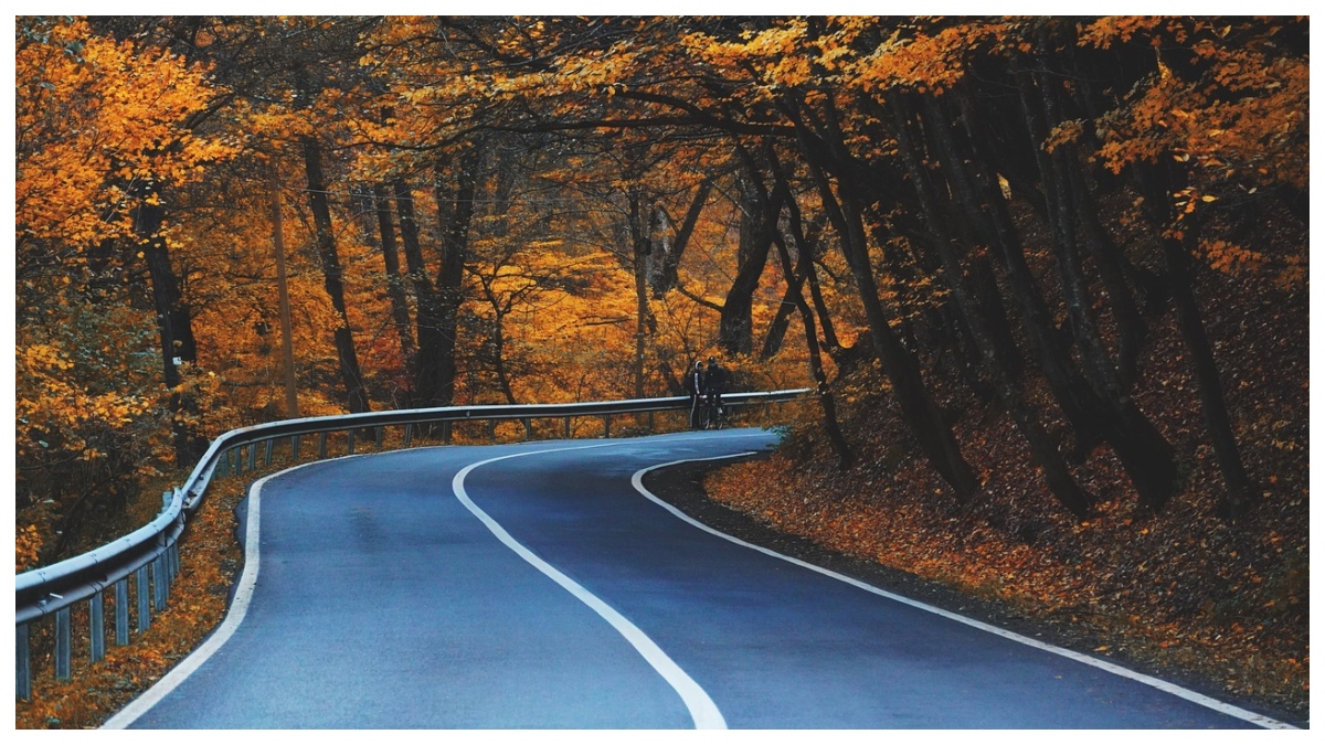 7 most beautiful roadways in India | In Pics
