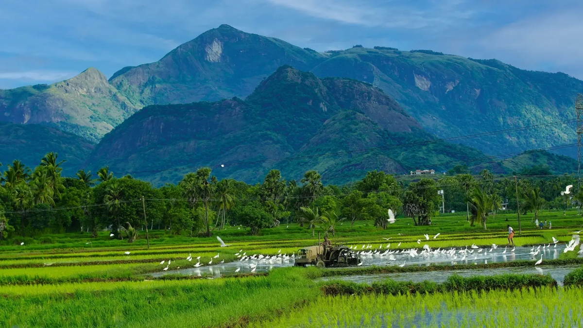 5 most beautiful states of India that will leave you in awe - India TV News