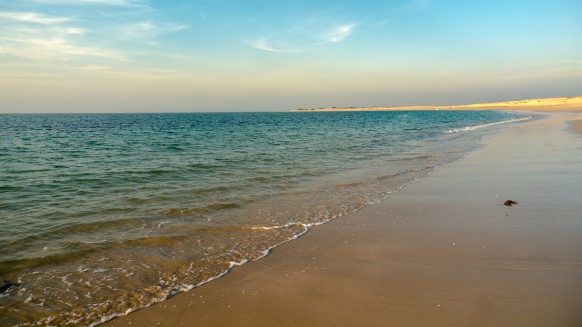 5 cleanest beaches in India that you should visit at least once - India ...