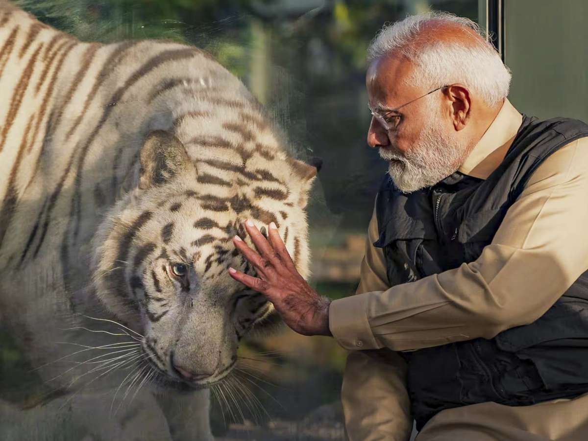 PM Modi's heartwarming pictures with Asiatic lions, clouded leopards ...