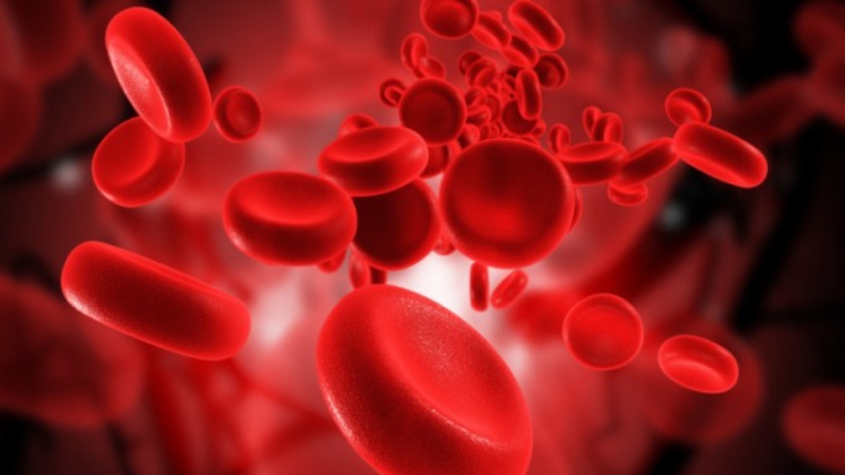 5 natural ways to increase platelet count