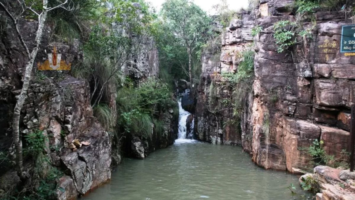 5 places around Tirumala Temple TTD you can visit - India TV News
