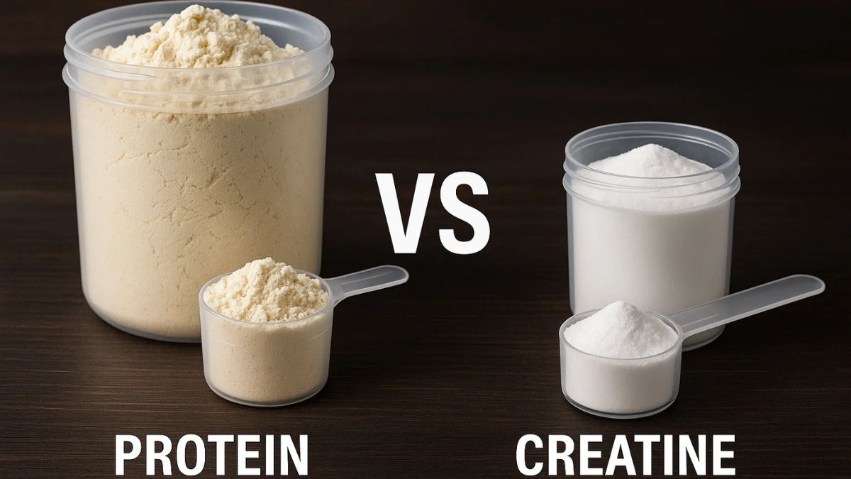 Protein vs Creatine: Which supplement is better for muscle gain?