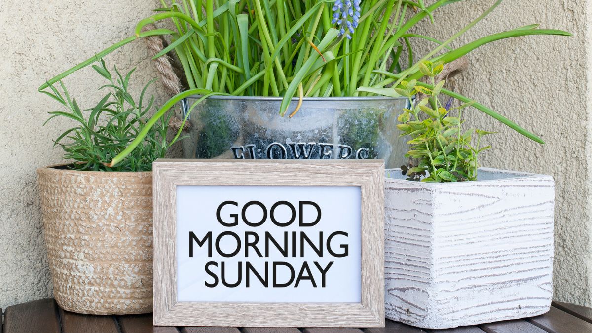 Happy Sunday Good Morning images for WhatsApp and status - India TV News