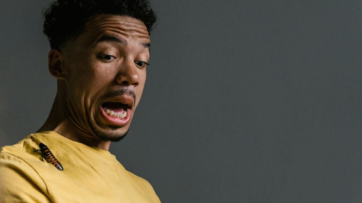 Weirdest bug-borne diseases you've probably never heard of