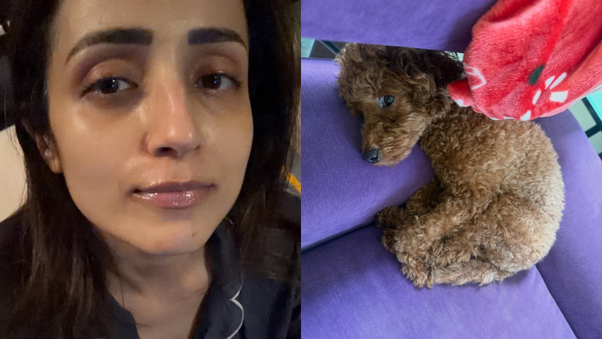 Photos: Trisha Krishnan shares more pics from 'magical May', says 'I'll ...