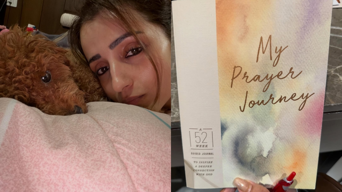 Photos: Trisha Krishnan shares more pics from 'magical May', says 'I'll ...