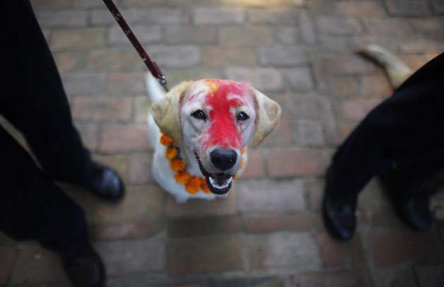 World lit up to celebrate Diwali with fervour and zeal