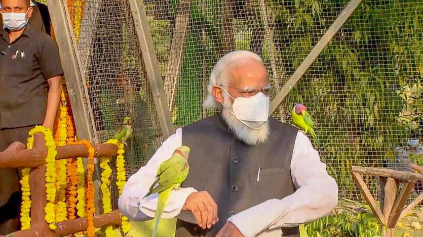 From toy train ride to jungle safari, PM Modi's visit to Kevadia - In Pics