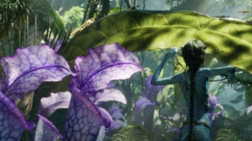 Avatar The Way of Water: Inside James Cameron's underwater world with ...