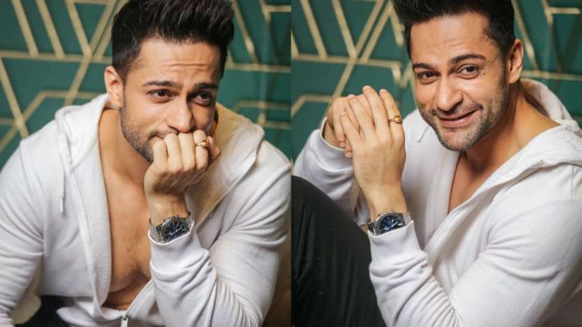 Shalin Bhanot's journey in showbiz; Roadies to Bigg Boss 16