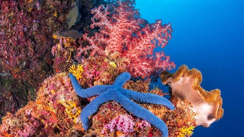 Nature Photography Day 2023: Celebrating some of the best nature ...