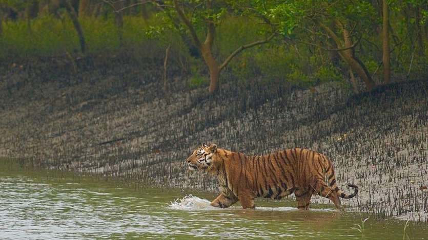 5 greenest places in India that every nature lover must visit this ...