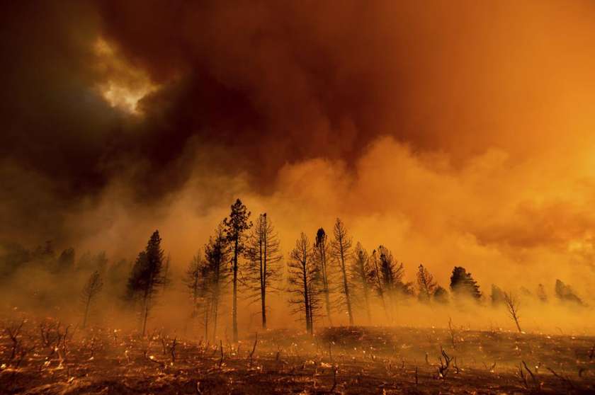 Yearender: Natural calamities of 2021 that hit across globe | IN PICS