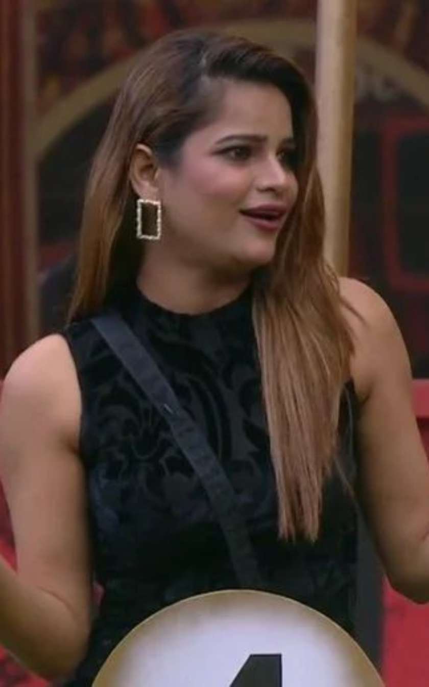 Bigg Boss 16 fame Archana Gautam's career timeline; modelling gigs to ...