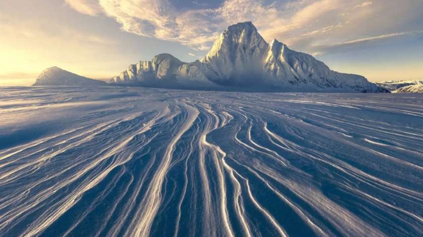 Nature Photography Day 2023: Celebrating some of the best nature ...