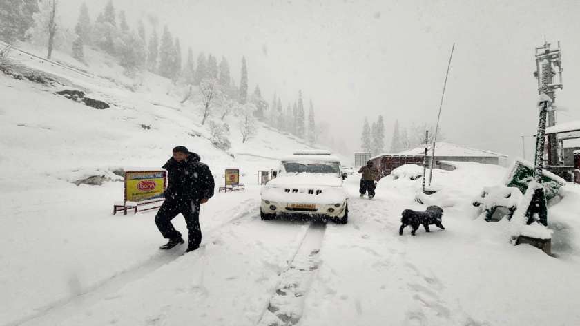 In Pics: Himachal Pradesh transformed into stunning snow-covered ...