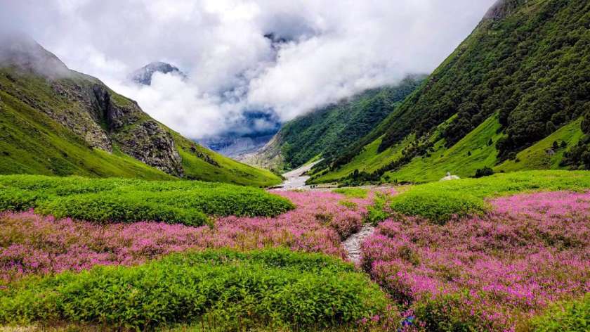 5 most beautiful flower valleys in India you should visit