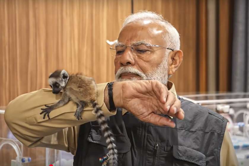 PM Modi's heartwarming pictures with Asiatic lions, clouded leopards ...