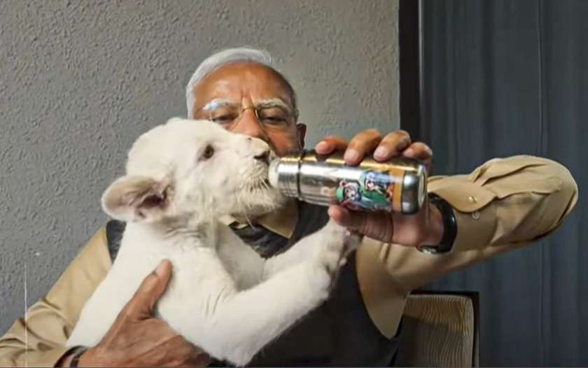 PM Modi's heartwarming pictures with Asiatic lions, clouded leopards ...