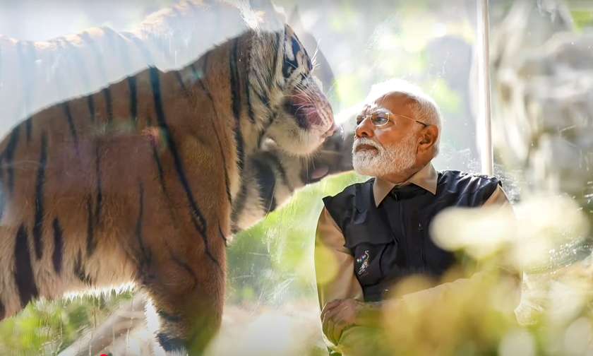 PM Modi's heartwarming pictures with Asiatic lions, clouded leopards ...