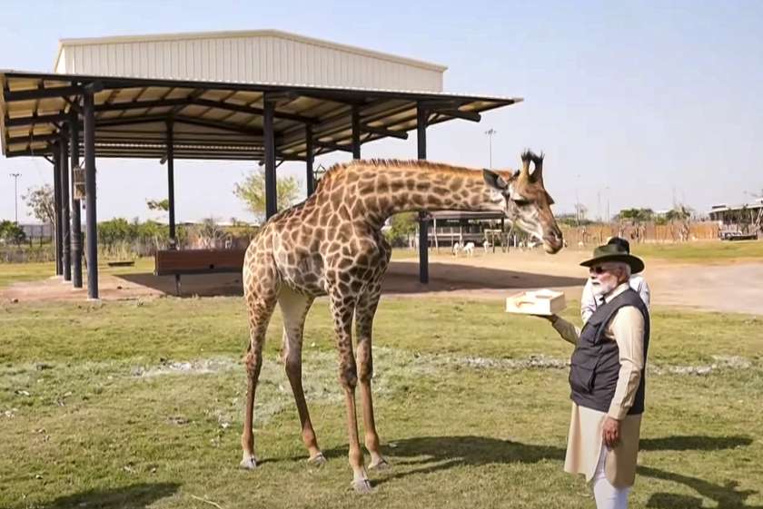 PM Modi's heartwarming pictures with Asiatic lions, clouded leopards ...