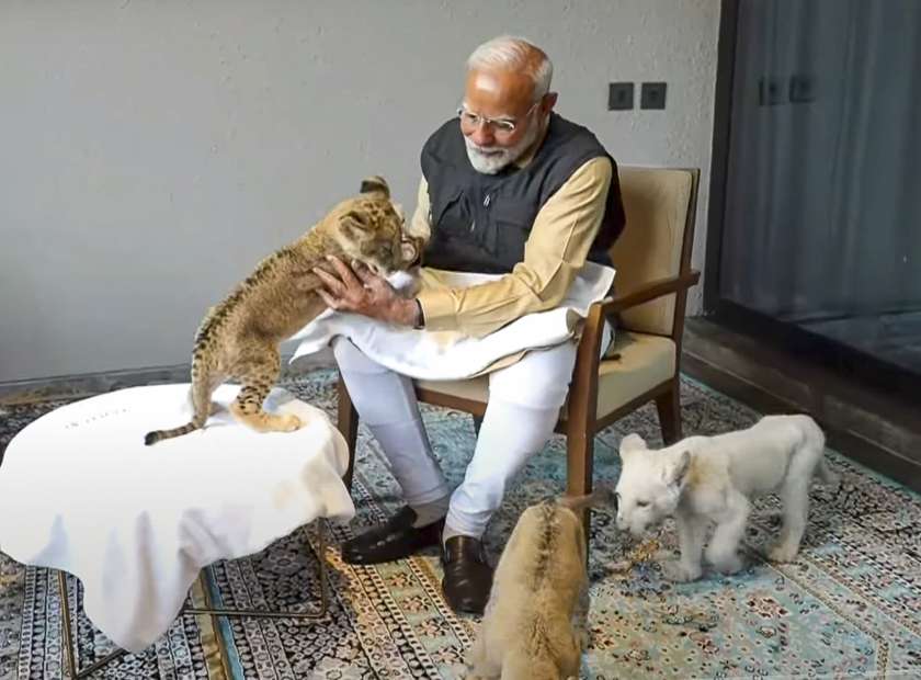 PM Modi's heartwarming pictures with Asiatic lions, clouded leopards ...