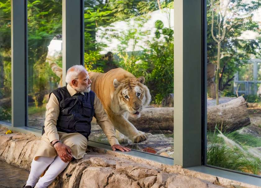 PM Modi's heartwarming pictures with Asiatic lions, clouded leopards ...