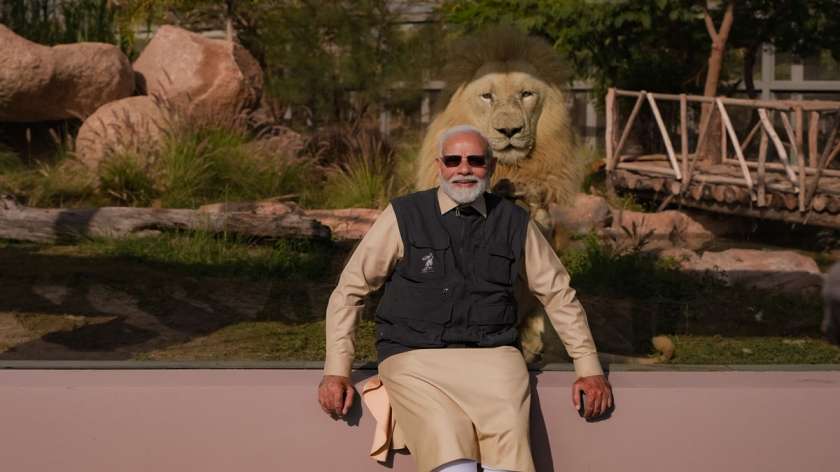 PM Modi's heartwarming pictures with Asiatic lions, clouded leopards ...