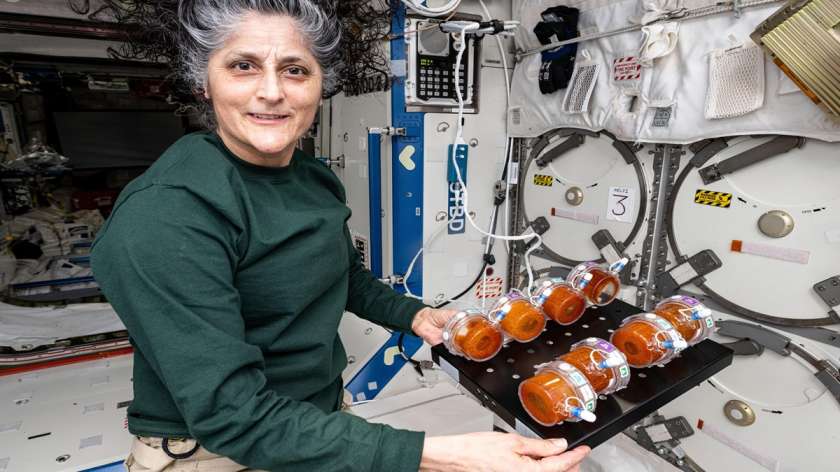 NASA Astronaut Sunita Williams return: 7 Unforgettable pictures of ...