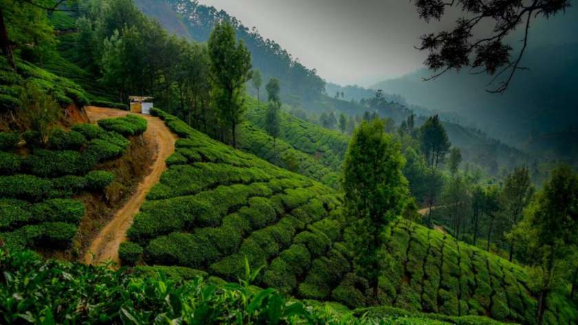 5 best destinations in India for nature walks - India TV News