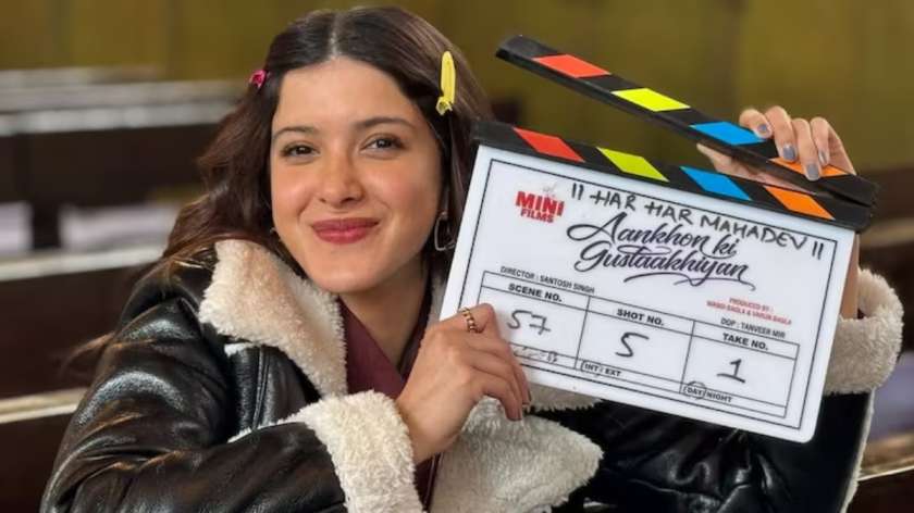 Aryan Khan to Ahaan Pandey: 5 starkids who'll mark their Bollywood debuts in 2025