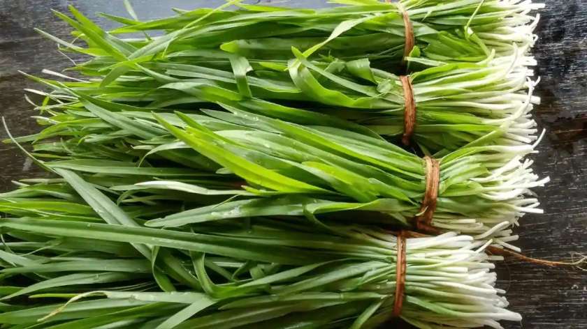7 Indian vegetables you didn't know are perfect for the monsoon season