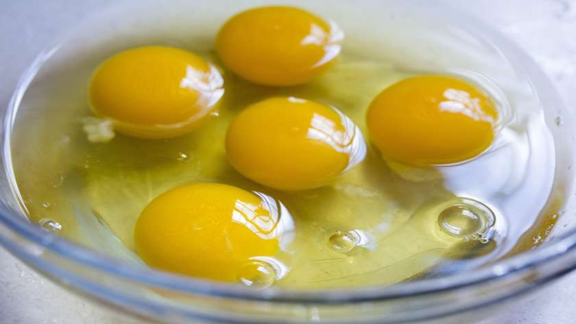 Top 5 egg-producing states in India | In Pics
