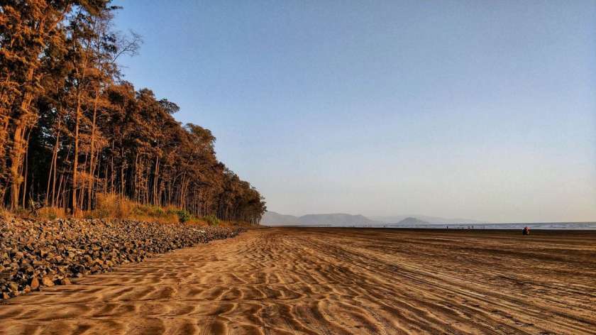 Winter weekend getaways under Rs 10,000: Quick trips from Mumbai