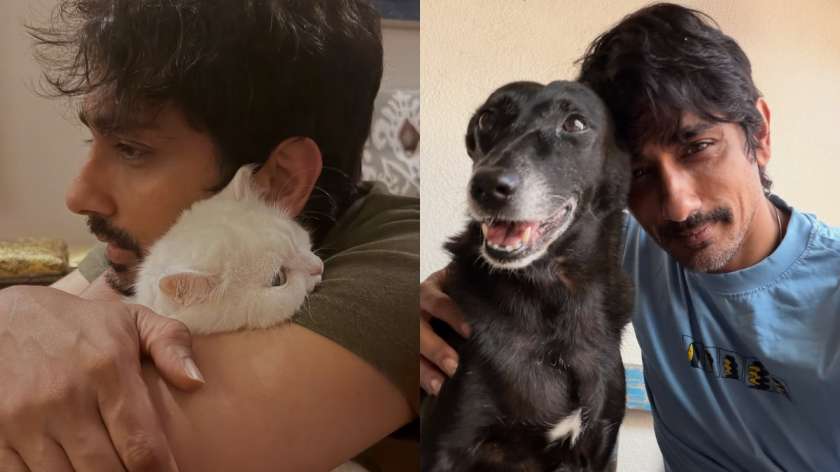 Aditi Rao Hydari shares pictures of love on Siddharth's 47th birthday ...