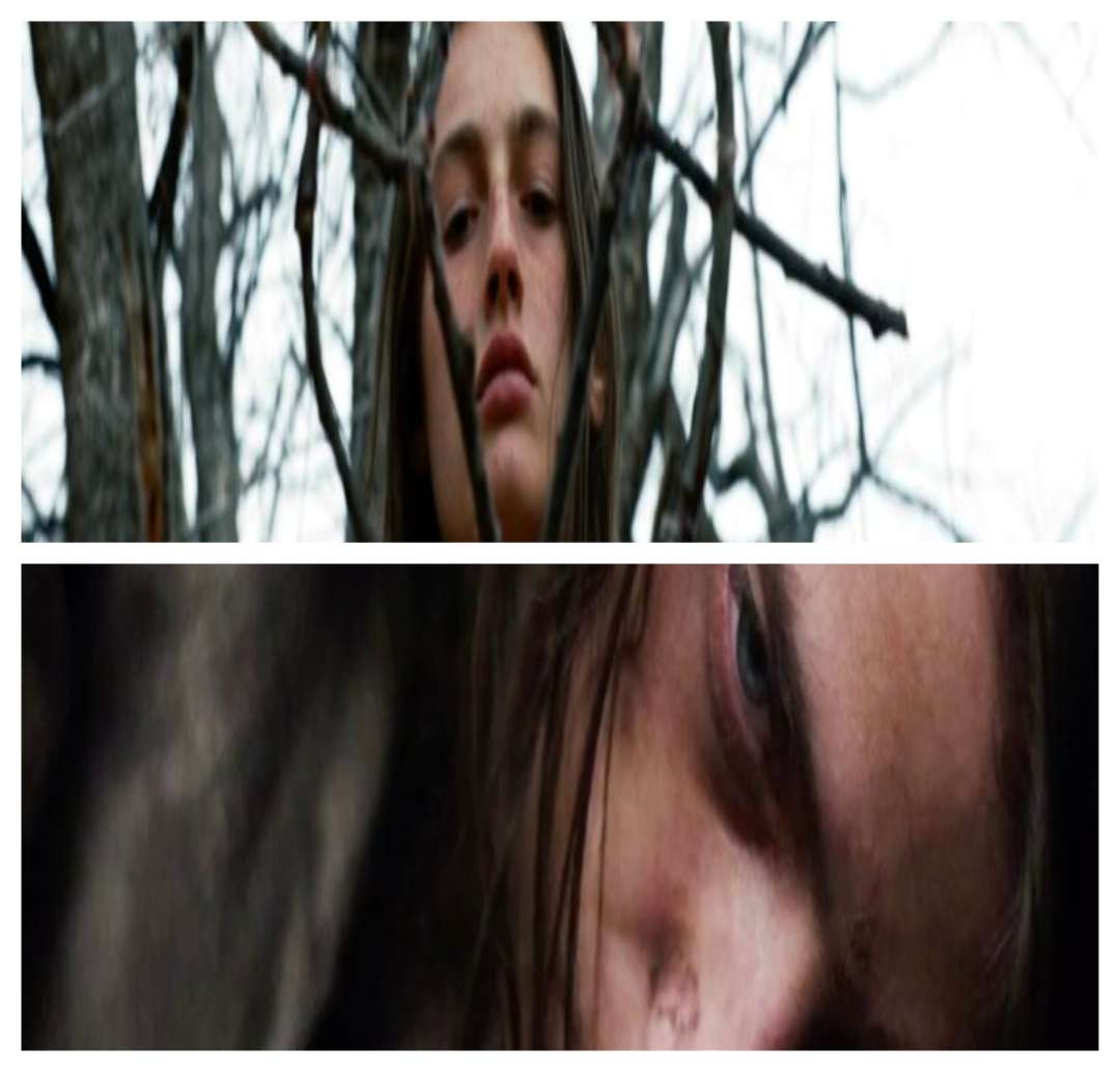 Best 5 Hollywood Haunted-Thriller Movies of 2022 | Hellbender to You Won'T Be Alone