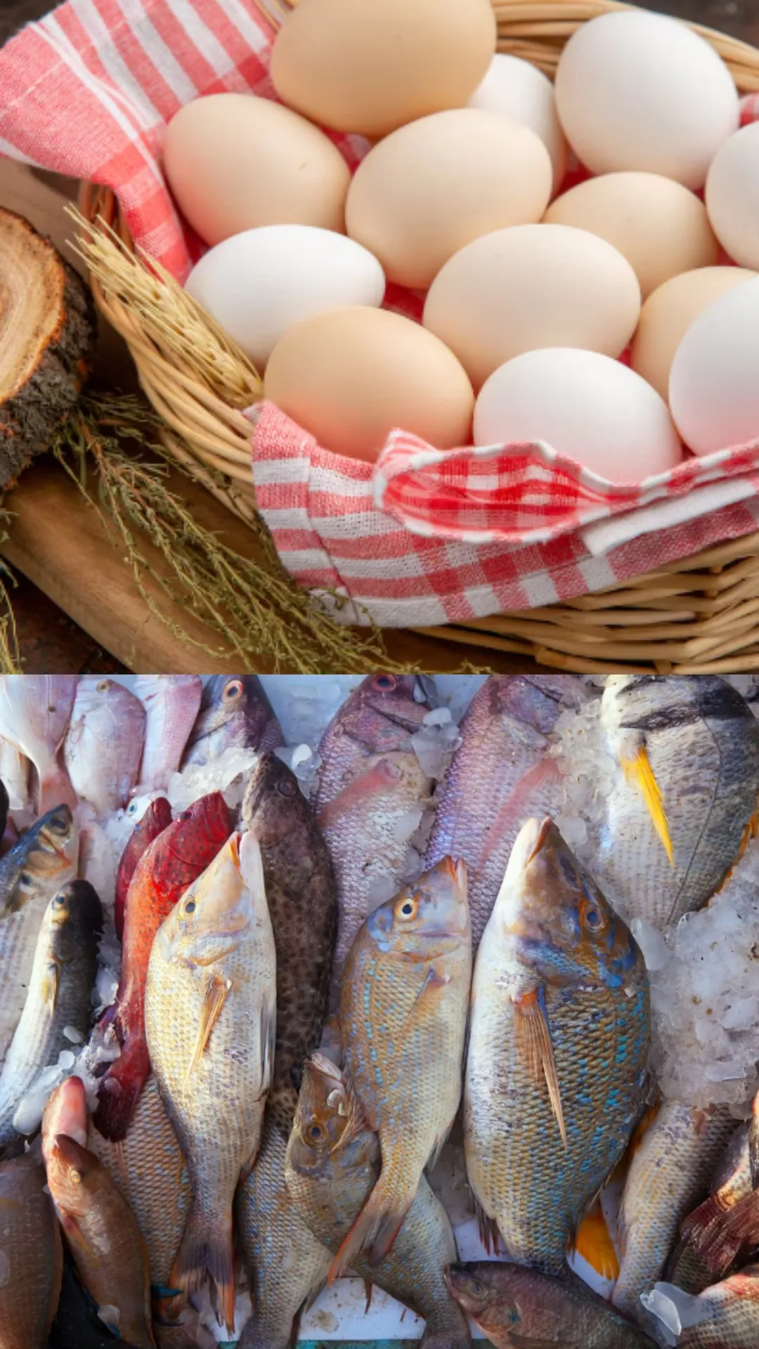 Vitamin B12 rich foods: Fish, eggs, paneer, curd, milk and chicken for ...