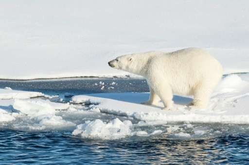No more ice in Arctic for first time in 100,000 years, warns expert ...