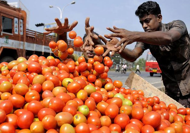 Tomato price rise temporary, rates fall in Delhi: Govt | India News ...